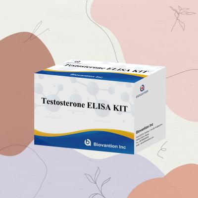 China Serum plasma Specimen Elisa human detect reagent Test0sterone Quantitative Elisa kit for sale