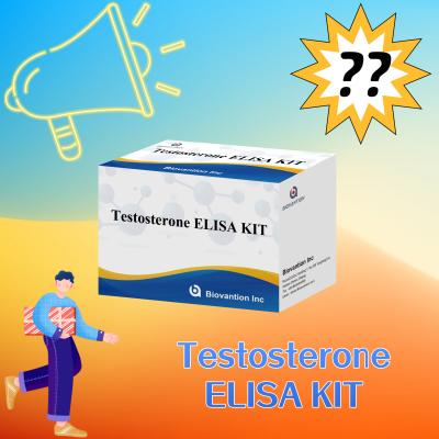 China Serum plasma Specimen Elisa human detect reagent Test0sterone Quantitative Elisa kit for sale