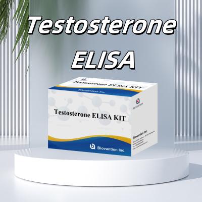 China Serum plasma Specimen Elisa human detect reagent Test0sterone Quantitative Elisa kit for sale