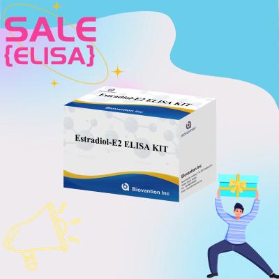 중국 Biovantion 에스트라디올 양적 96-well 판 테스트 키트 판매용