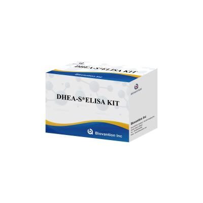 중국 바이오반션 테스트 디하이드로피안드로스테론 수 Sulfate DHEA-S 감수성 Elisa 테스트 키트 판매용