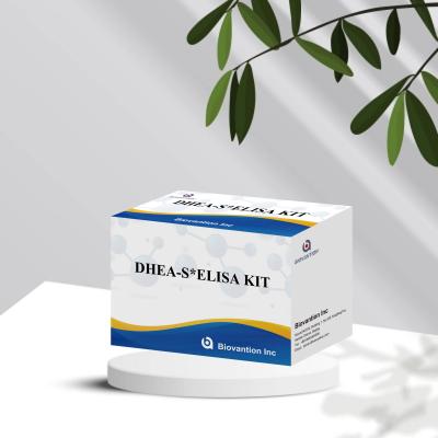 중국 바이오반션 테스트 디하이드로피안드로스테론 수 Sulfate DHEA-S 감수성 Elisa 테스트 키트 판매용