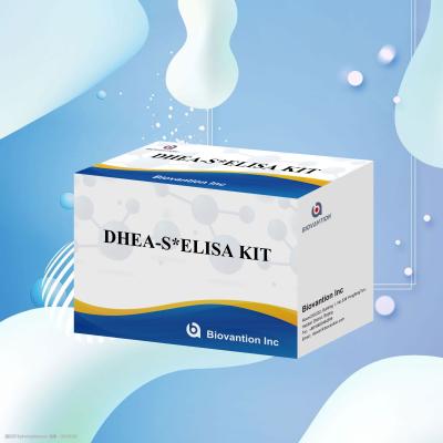 중국 바이오반션 테스트 디하이드로피안드로스테론 수 Sulfate DHEA-S 감수성 Elisa 테스트 키트 판매용