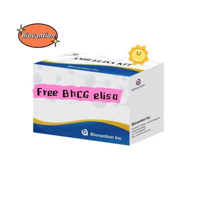 중국 무료 BhCG 엘리사 테스트 키트 세럼 보관 2- 8. C 18 입 내 사용 시 유효기간 판매용