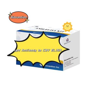 중국 CBV에 대한 IgM 항체에 대한 진단 키트 엘리사 테스트 키트 50μL 혈청 의료 진단 판매용