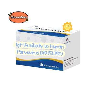 China Antibody To Human Parvovirus B19 IgM ELISA Test Kit Diagnostic Kit for sale
