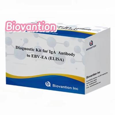중국 EBV-EA 엘리사 테스트 키트 높은 정확성 IgA 항체 진단 키트 판매용