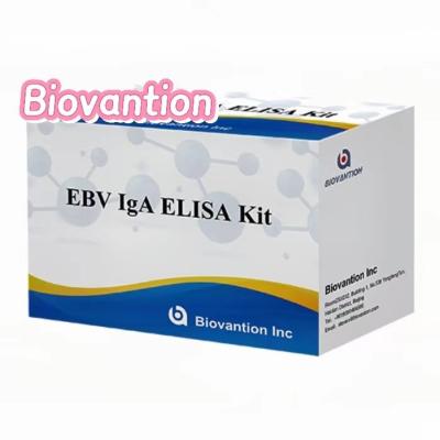 중국 EBNA1 에 대한 IgA 항체 엘리사 테스트 키트 세럼 50μL 샘플 키트 형식 판매용