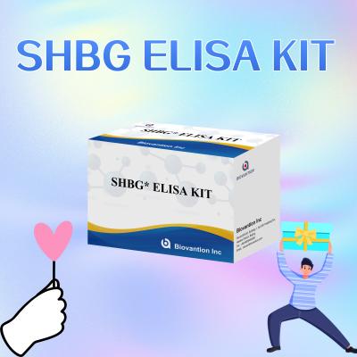 Cina Biovantion SHBG Test Sensitive Elisa Test Kit in vendita
