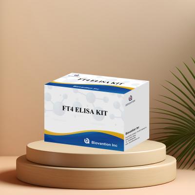 Cina FT4 Kit di test per la diagnosi medica con immunosorbente legato agli enzimi ad alta specificità in vendita