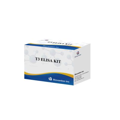 중국 T3 의학 진단 효소 연결 면역 흡수 검사 키트 고 특수성 판매용
