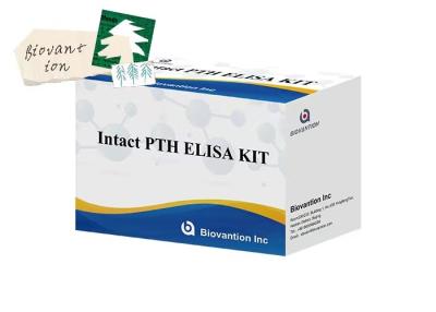 China Intact PTH 96 Measurement ELISA Test Kit For Plasma Samples With 1 Hour Assay Time for sale