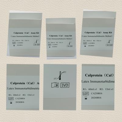 Cina Kit di analisi della cal proteina Kit di reagenti di rilevamento quantitativo per la diagnosi umana in vendita