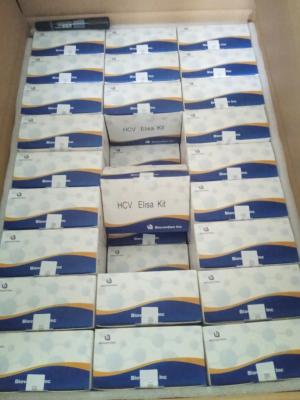 중국 HCV ELISA 테스트 키트 정확한 테스트를 위해 교차 반응성이 없는 덩어리 샘플 판매용