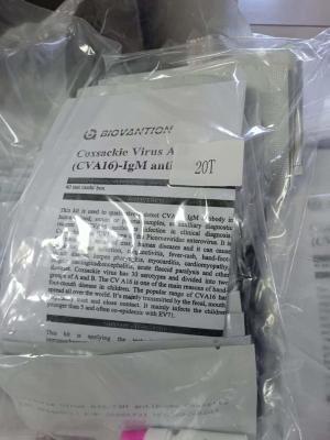 중국 코크사키 바이러스 A16 CVA16-IgM 항체 카세트 빠른 테스트 세럼 빠른 테스트 전문 판매용