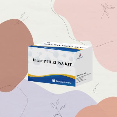 China Detection Kit for Intact PTH for human detect reagent for human Serum Plasma for sale