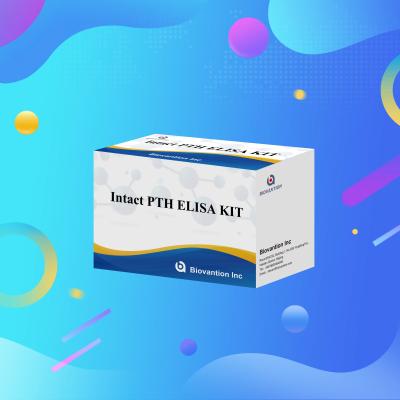 China Detection Kit for Intact PTH for human detect reagent for human Serum Plasma for sale