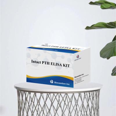 China Detection Kit for Intact PTH for human detect reagent for human Serum Plasma for sale