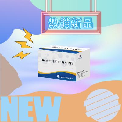 China Detection Kit for Intact PTH for human detect reagent for human Serum Plasma for sale