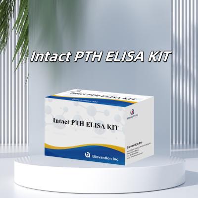 China Detection Kit for Intact PTH for human detect reagent for human Serum Plasma for sale