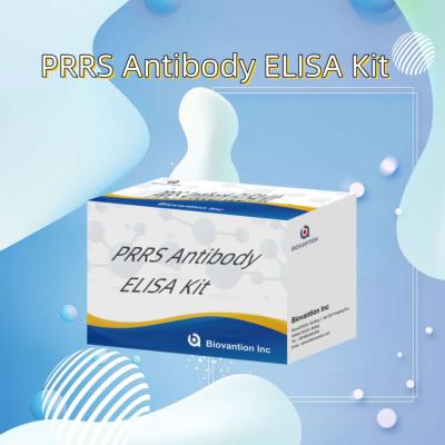 Cina Test ELISA per il PRRSV animale Anticorpi PRRS suini Anticorpi veterinari Reagenti ivd in vendita