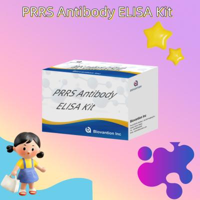 Cina Test ELISA per il PRRSV animale Anticorpi PRRS suini Anticorpi veterinari Reagenti ivd in vendita
