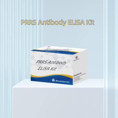 Cina Test ELISA per il PRRSV animale Anticorpi PRRS suini Anticorpi veterinari Reagenti ivd in vendita