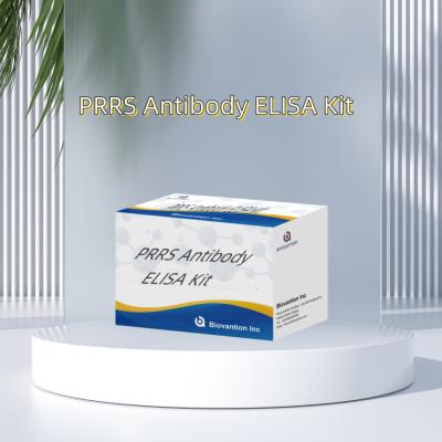 Cina Test ELISA per il PRRSV animale Anticorpi PRRS suini Anticorpi veterinari Reagenti ivd in vendita