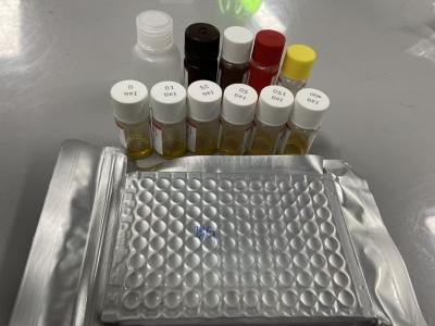 China Rat Bcl-2 Serum Methode ELISA Proeftype Serum ELISA RUO Test Kit Met 98% specificiteit Te koop