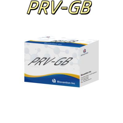 중국 특수성 소혈관 검출 PRV 반응기에 대한 ELISA 면역 검사 키트 판매용