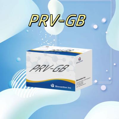 중국 특수성 소혈관 검출 PRV 반응기에 대한 ELISA 면역 검사 키트 판매용