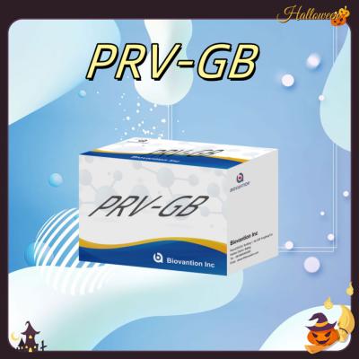 중국 특수성 소혈관 검출 PRV 반응기에 대한 ELISA 면역 검사 키트 판매용