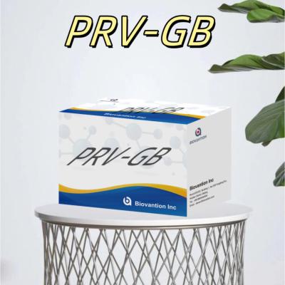 중국 특수성 소혈관 검출 PRV 반응기에 대한 ELISA 면역 검사 키트 판매용