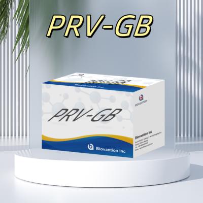 중국 특수성 소혈관 검출 PRV 반응기에 대한 ELISA 면역 검사 키트 판매용