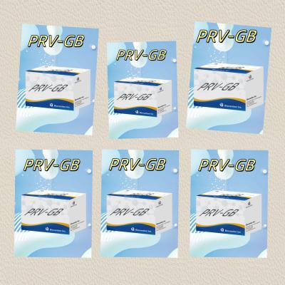 중국 특수성 소혈관 검출 PRV 반응기에 대한 ELISA 면역 검사 키트 판매용