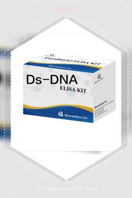 China Anti-Ds-DNA IgG ELISA-testkit kwalitatief anti-dubbelstreng DNA-antilichaam Te koop