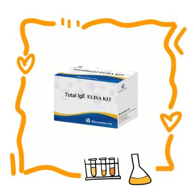 중국 전체 IgE 항체 IgE ELISA 테스트 키트 인 비트로 진단 효소 판매용