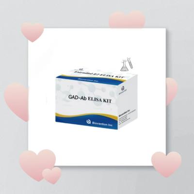 중국 GAD-Ab ELISA 테스트 키트 글루타민산 디카보시라세 항체 면역 흡수 판매용