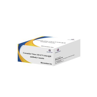 중국 코크사키 바이러스 A16 CVA16-IgM 항체 카세트 WB/S/P 콜로이드 금 급검 판매용
