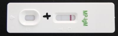China (MP)-IgM Antibody Rapid Test Mycoplasma Pneumoniae Test Kit for sale
