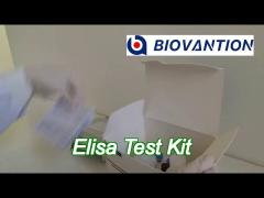 Geproduceerd door Bio-Environment. Tuberculose-interface.