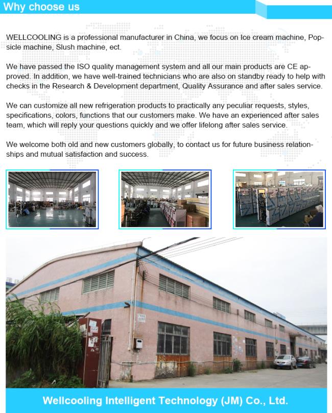 Wellcooling Table Top Small Sundae Sorbet Gelato Hard Ice Cream Machine