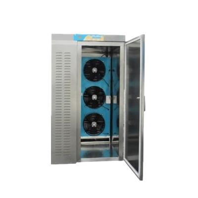 China Low Cost Refrigeration Frozen Cold Storage for Kitchen Use for sale