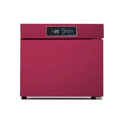 China Batch Sales High-Quality Quick Freezers Blast Freezers Outdoor Portable Quick Freezer Machine for sale