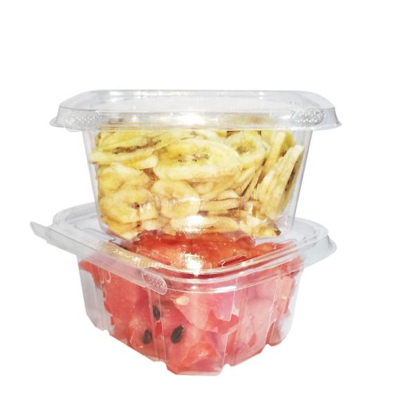 Quality China Supplier Tamper-Resistant Clear Hinged Container with Flat Lid for sale