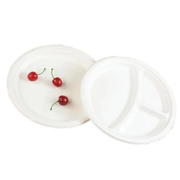 Quality Biodegradable Sugarcane Pulp Tray 3 Compartment Disposable Tableware for Snacks Candies Hamburgers Cookies Pet Food Milk for sale
