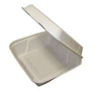 Quality Wholesale Compostable 9inch Take Out Disposable PLA Foam Box for Food for sale