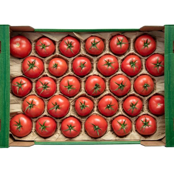 Quality Round Fruits Cavity Moulded Paper  Packaging Tray Liner for Apple Orange Avocado for sale