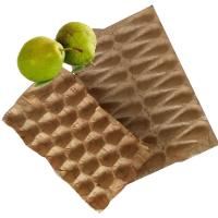 Quality Customized Kraft Paper Moulded Pulp Trays Disposable Fruit Packaging Tray for for sale