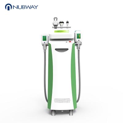 China Cryolipolysis Type cryotherapy slimming machine for sale